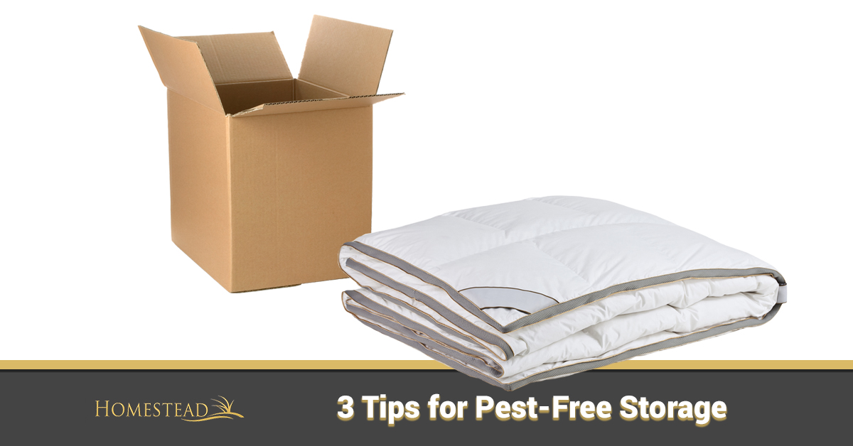 Self-Storage Solutions: How To Avoid Unwanted Pests